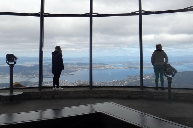 Kunanyi/mt wellington explorer bus return tour (2.5 hours) the sum up