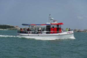 Little toot dolphin adventure at clearwater beach is it worth the price?
