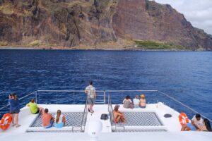 Madeira dolphin and whale watching on a ecological catamaran is it worth the price?