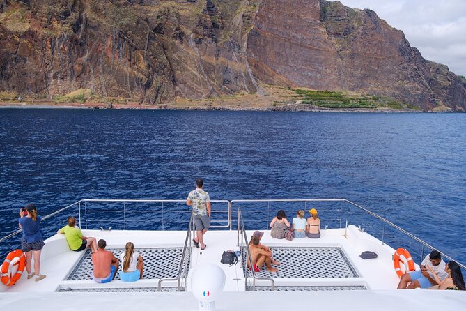 Madeira dolphin and whale watching on a ecological catamaran is it worth the price?