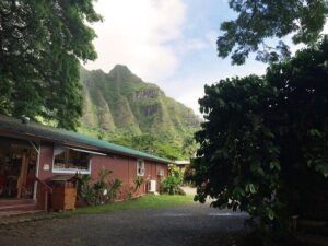 Majestic circle island tour with lunch what to expect: the day unpacked