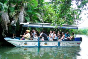 Mangrove boat tour damas island | manuel antonio why this tour is a good value