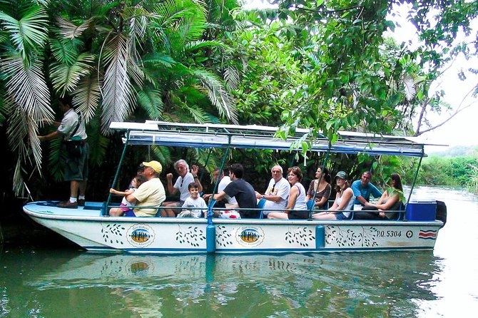 Mangrove boat tour damas island | manuel antonio why this tour is a good value