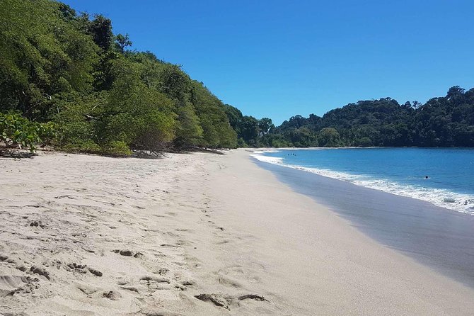 Manuel antonio national park sightseeing and wildlife day tour from san jose who will love this tour?