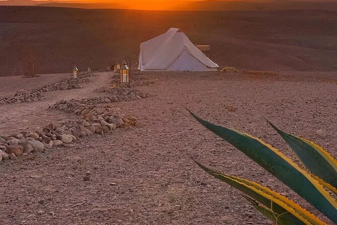 Marrakech desert tour & sunset camel ride with dinner show what makes this tour stand out?