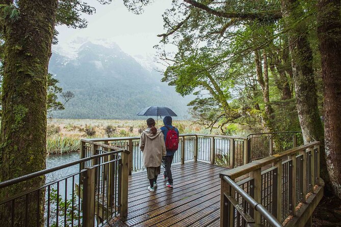 Milford sound coach and cruise tour from queenstown the value of the tour