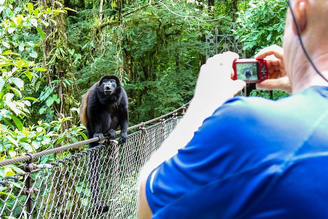 Mistico park hanging bridges guided tour the role of guides and wildlife spotting