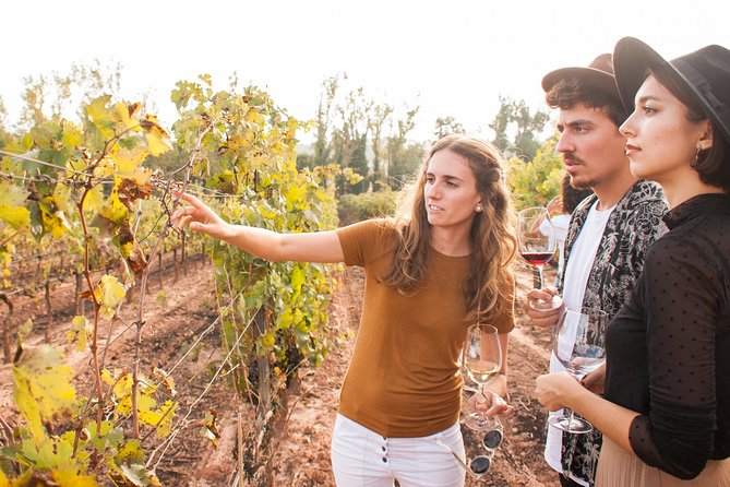 Montserrat & cogwheel train, gourmet wine tasting & tapas/lunch the winery and the catalan wines: a toast to local flavors