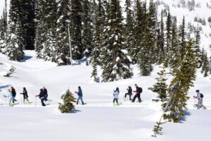 Mt. rainier national park day tour from seattle faqs