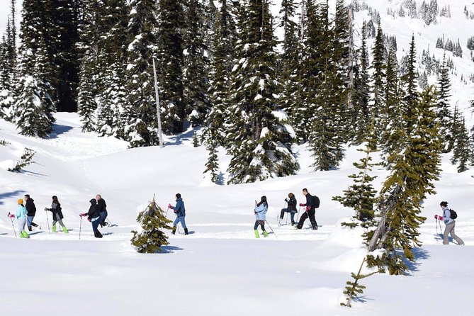 Mt. rainier national park day tour from seattle faqs