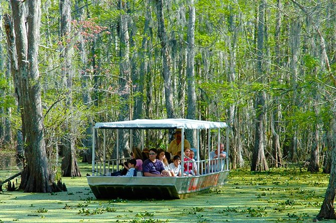 New orleans self transport swamp and bayou boat tour value for money