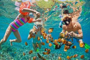Oahu's ultimate tour: dole, turtle snorkel, pali lookout & more what’s the experience like?