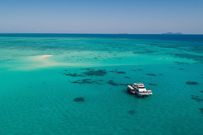 Ocean freedom great barrier reef luxury snorkel and dive cruise what sets this tour apart?