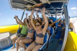 Ocean safari great barrier reef experience in cape tribulation the sum up