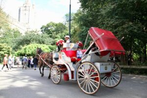 Official nyc horse carriage rides in central park since 1979 what makes this carriage ride special?