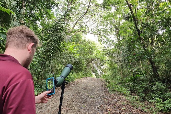 Panama canal monkey & wildlife boat safari the itinerary in detail