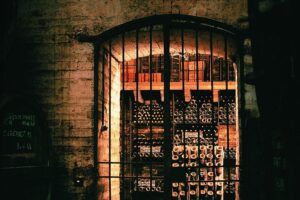 Premium wine tour in viña cousiño macul spanish official who will love this tour?