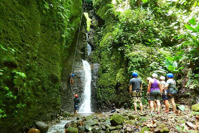 Pure trek canyoning the ultimate waterfall rappel in la fortuna what makes this tour stand out