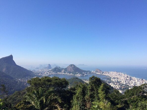 Rainforest hike in rio: tijuca waterfalls, wildlife & caves why the experience works