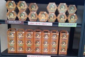 Roatan wildlife monkey sloth chocolate rum tasting city tour final thoughts