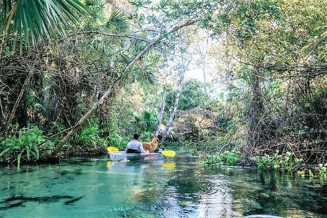 Rock springs 2 hour glass bottom guided kayak eco tour the guides & experience