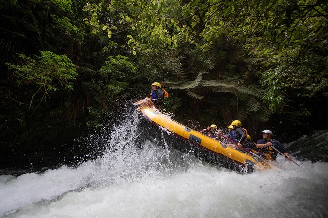 Rotorua rafting: kaituna river white water rafting authentic reviews: what travelers love most