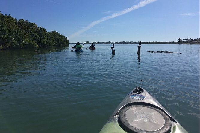 Sarasota guided mangrove tunnel kayak tour the benefits for different types of travelers