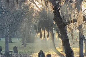 Savannah history and haunts candlelit ghost walking tour who is this tour best for?