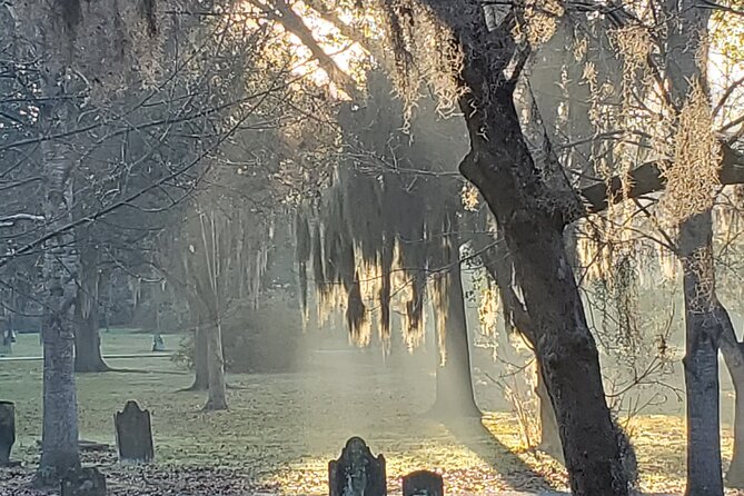 Savannah history and haunts candlelit ghost walking tour who is this tour best for?