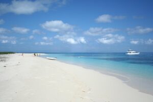 Seastar luxury outer great barrier reef island and reef tour the small group advantage