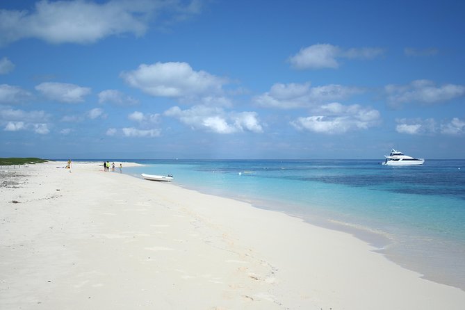 Seastar luxury outer great barrier reef island and reef tour the small group advantage