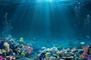 Sharm el sheikh: white island and ras mohamed cruise adventure the practical side: what you need to know