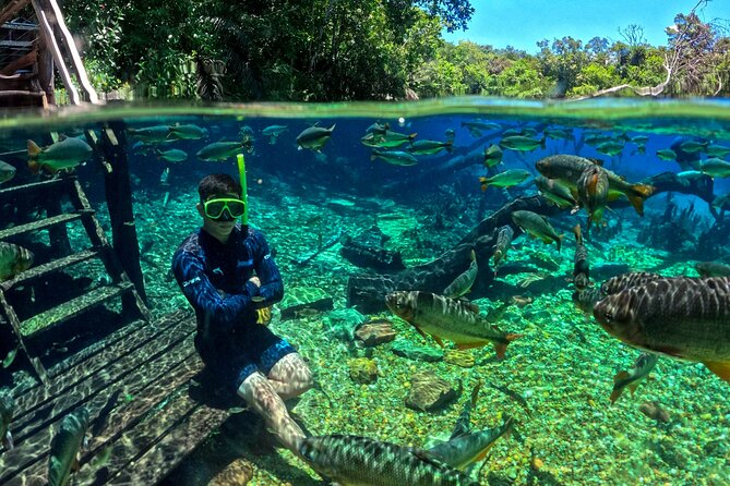 Skip the line:recanto ecologico rio da prata ticket including trail & snorkeling detailed breakdown of the itinerary