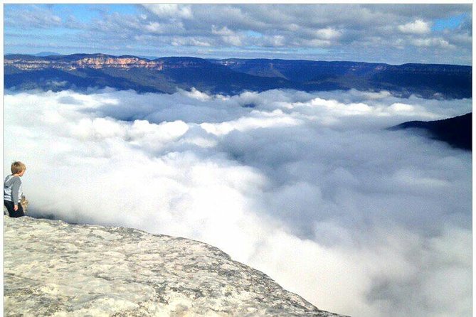 Small group blue mountains day tour with wildlife park & bushwalk value for money and practical tips
