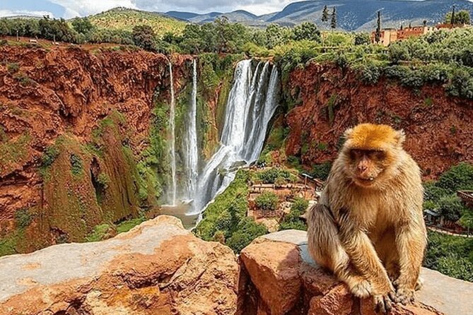 Small group ouzoud waterfall guided tour boat ride from marrakech practical details and tips