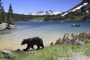 Small group yosemite and giant sequoias day trip from san francisco what the reviews say
