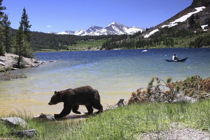 Small group yosemite and giant sequoias day trip from san francisco what the reviews say