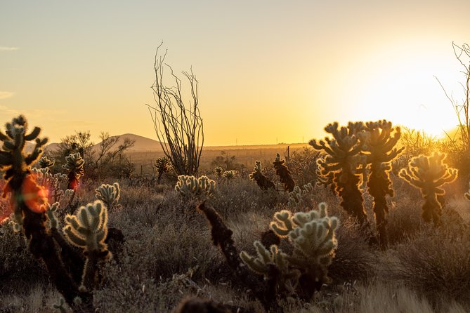 Sonoran desert jeep tour at sunset the value for your money