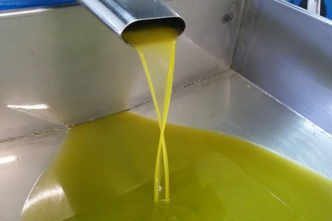 Sorrento farm and food experience including olive oil, limoncello, wine tasting final thoughts: who should sign up?