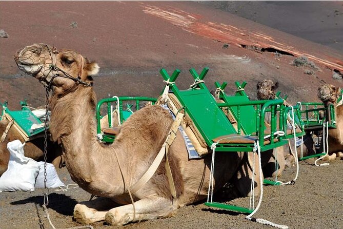 Tour to Timanfaya, Jameos del Agua, Cueva de los Verdes and viewpoint from the cliff - Practical Considerations