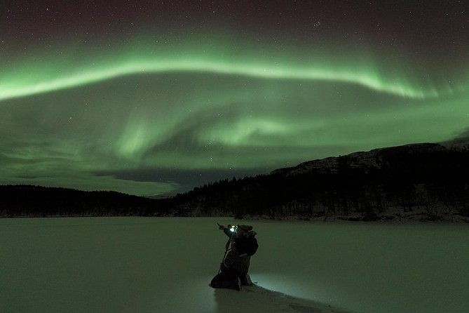 Tromsø: aurora hunt with citizen science with wandering owl the value and price: is it worth it?
