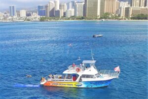 Turtle canyons snorkel excursion from waikiki, hawaii the benefits of all inclusive gear and guided support