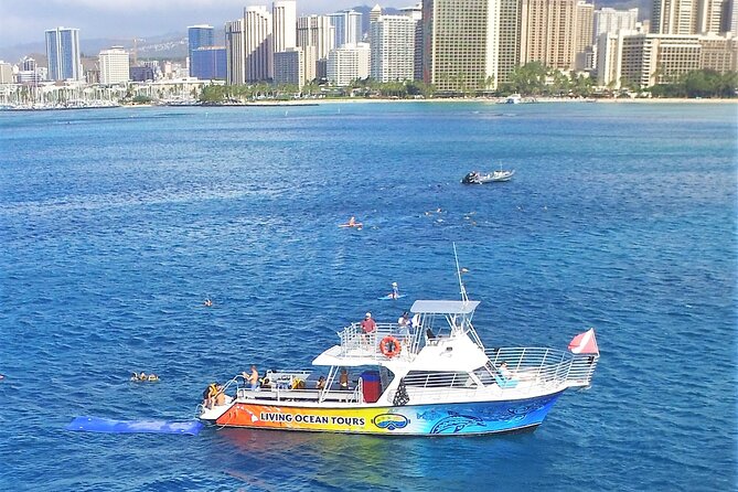Turtle canyons snorkel excursion from waikiki, hawaii the benefits of all inclusive gear and guided support