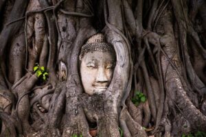 Unesco's ayutthaya historical park: full day tour from bangkok practical details: what it means for you