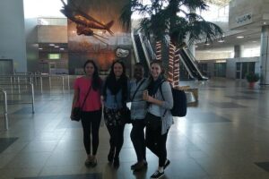 Vip meet and greet private hotel transfer from cairo airport the value for money