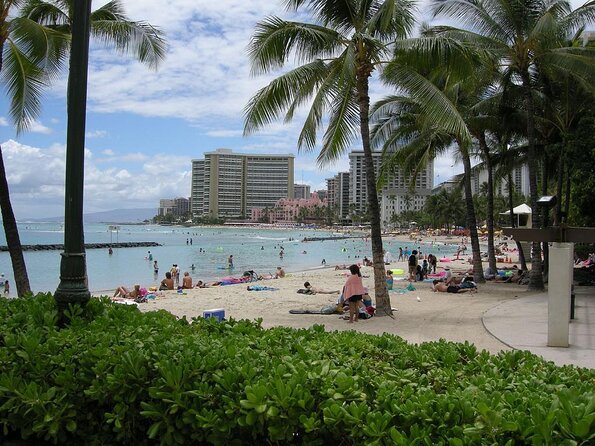 Waikiki catamaran adventure: snorkel with sea turtles who will love this tour?