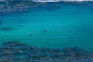 Waikiki trolley hop on hop off tour of honolulu who should consider this tour?
