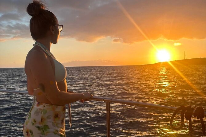 Whale and dolphin watching catamaran with transfer and buffet what makes this tour special?