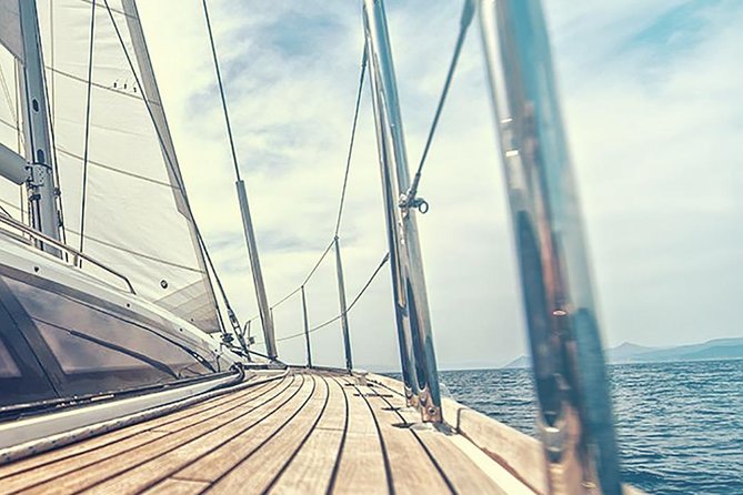 Whale and Dolphin Watching Yacht Trip in Puerto Colon - Authentic Experiences from Reviews