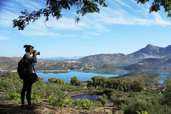 White villages and ronda day tour from seville how travelers feel about it